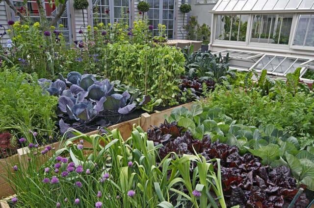 60,000lbs of Organic Food Per Acre! - Off Grid World