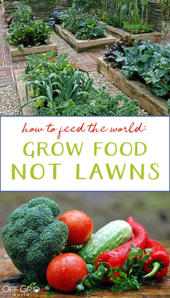 How To Feed The World: Grow Food, Not Lawns! - Off Grid World