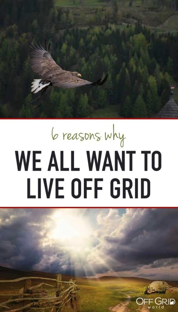 6 Reasons Why We ALL Want To Live Off The Grid - Off Grid World