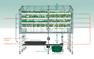 Shipping Container Greenhouse is Awesome Urban Farm-In-A-Box - Off Grid ...