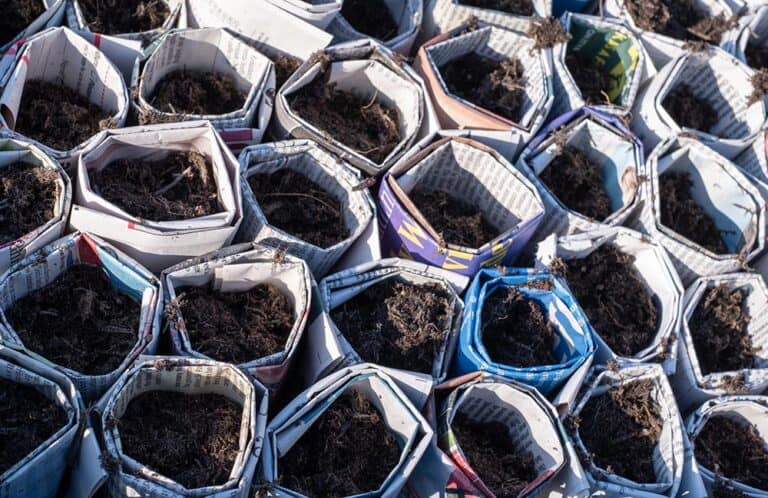 How to Make Newspaper Pots for Starting Seeds - Off Grid World