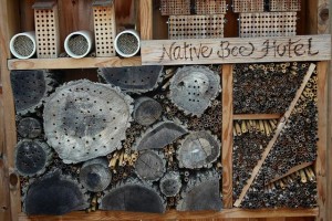 27 Incredibly Beautiful Bee Hotels (And Why You Should Build One) - Off ...