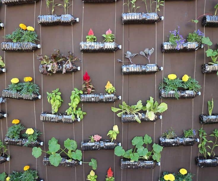 10 Easy DIY Vertical Garden Ideas - Off Grid World