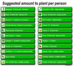 The 4 Basic Necessities For Living "Off The Grid" - Off Grid World