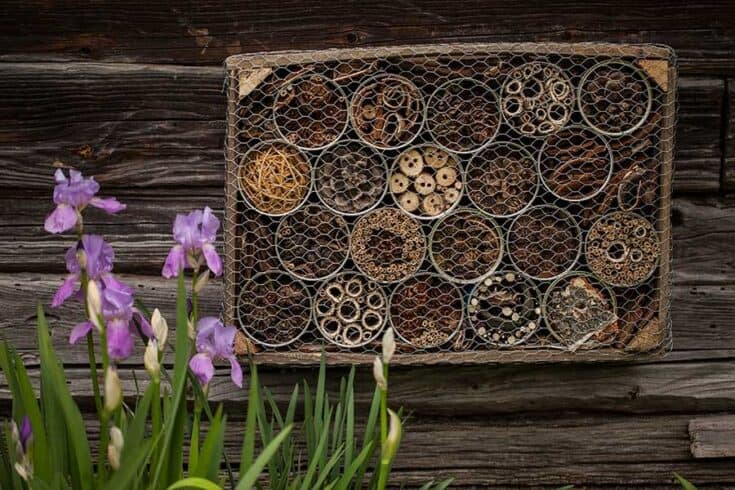 27 Incredibly Beautiful Bee Hotels (And Why You Should Build One) - Off ...