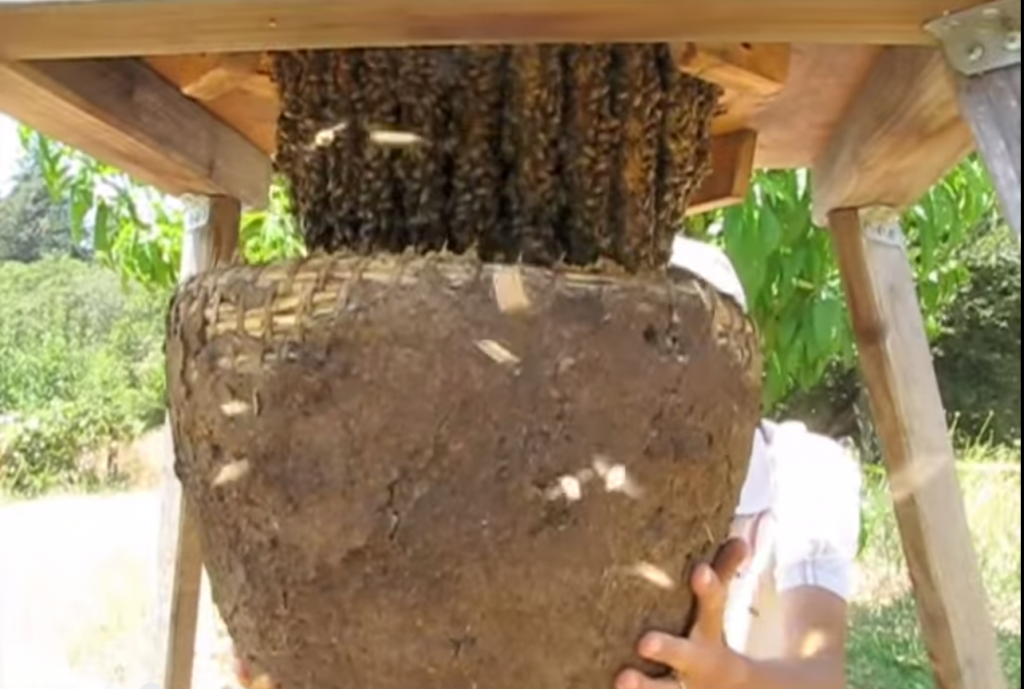The Sun Hive: A Majestically Beautiful Bee Hive That Could Save The ...