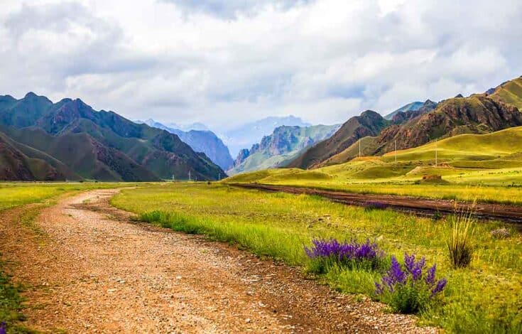 Off Grid Living: 10 Essentials for Going Off Grid - Off Grid World