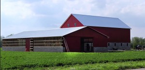 Amish Barn Raising: Watch Amish Craftsman Build This Barn in 10 Hours ...