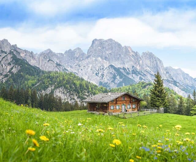 Off Grid Living - Off Grid World