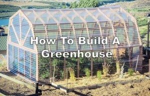 How To Build a Greenhouse - Off Grid World