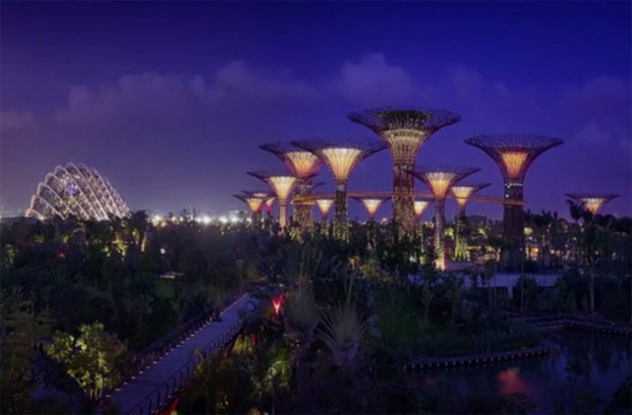 Solar Supertrees in Singapore are Vertical Gardens That Light Up the ...