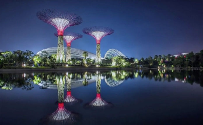 Solar Supertrees in Singapore are Vertical Gardens That Light Up the ...