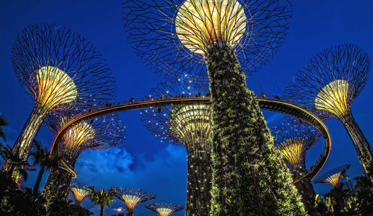Solar Supertrees in Singapore are Vertical Gardens That Light Up the ...