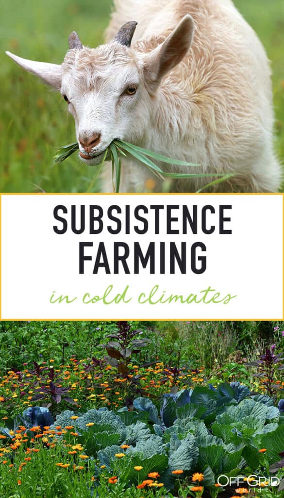 Subsistence Farming in Cold Climates - Off Grid World