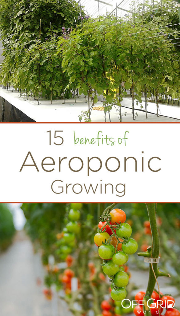 15 Benefits of Aeroponic Growing - Off Grid World