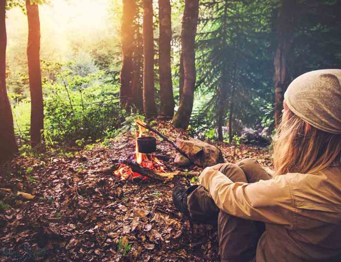 Foraging Food in the Wilderness for Survival - Off Grid World