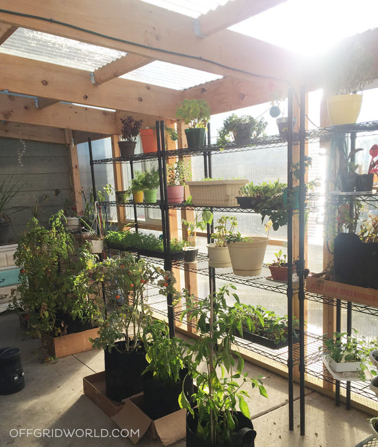 A DIY Greenhouse For Growing Food Year Round - Off Grid World