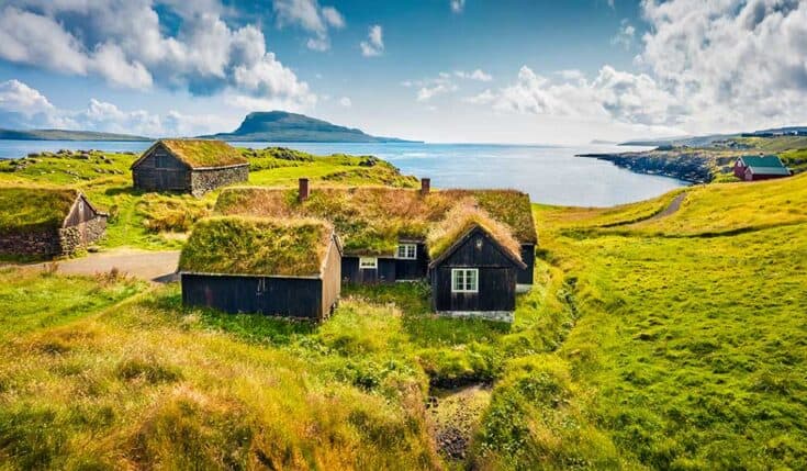 Living Roof Basics: Efficient, Beautiful, Green Spaces - Off Grid World