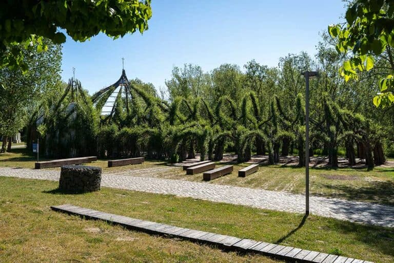 Living Willow Structures: 15 Unique Project Ideas - Off Grid World