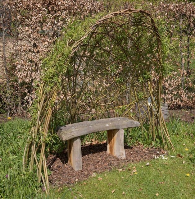 Living Willow Structures: 15 Unique Project Ideas - Off Grid World