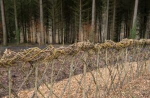 Living Willow Structures: 15 Unique Project Ideas - Off Grid World