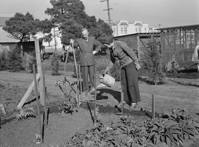 What is a Victory Garden? Growing Sustainable Food - Off Grid World