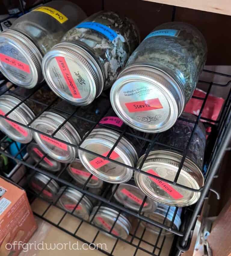 Can You Reuse Canning Lids? What You Need To Know - Off Grid World