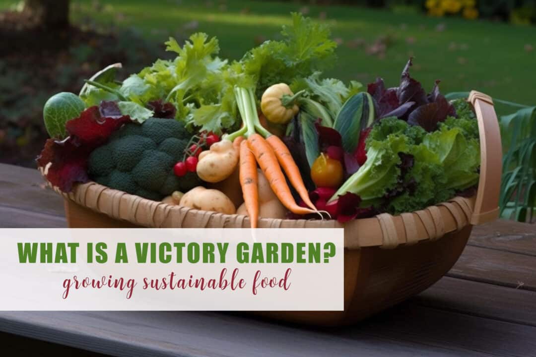 What is a Victory Garden? Growing Sustainable Food - Off Grid World