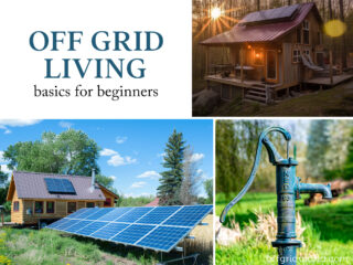 Off-Grid Living for Beginners: Essential Tips to Get Started - Off Grid ...
