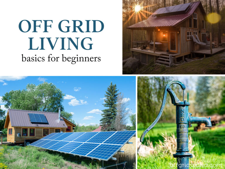 Off-Grid Living for Beginners: Essential Tips to Get Started - Off Grid ...