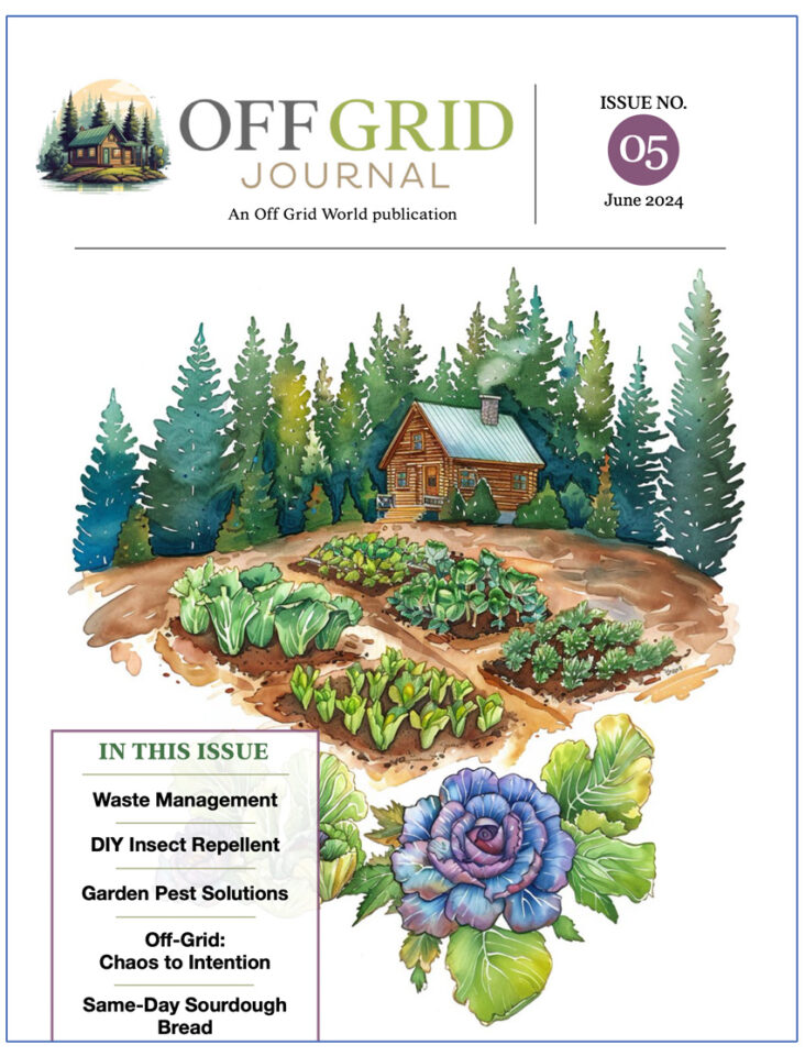 Off Grid Journal: Digital Monthly Publication - Off Grid World
