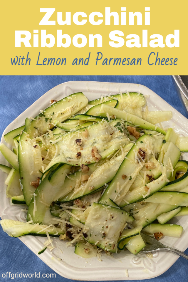 Zucchini Ribbon Salad with Lemon and Parmesan Cheese - Off Grid World