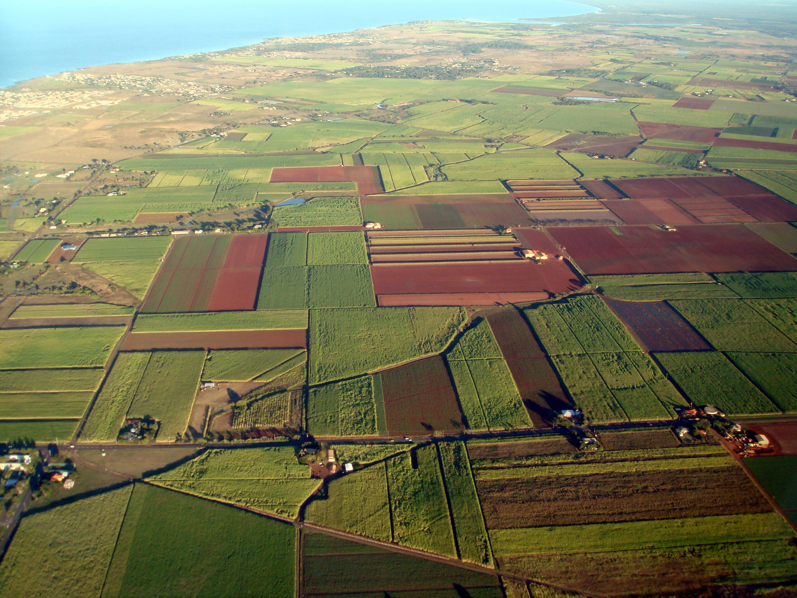 Off‑Grid Farming: Maximizing Crop Health with NDVI imagery - Off Grid World